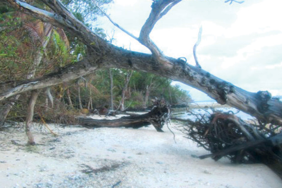 Arnavon island | Theislandsun