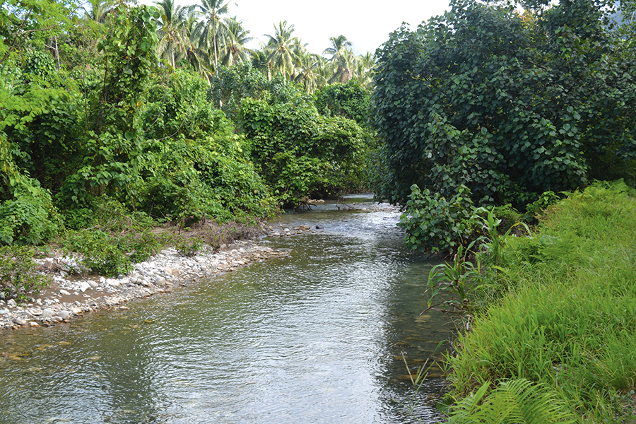 Rivers-and-bushes-are-being-used-as-toilets-everywhere-in-Solomon ...