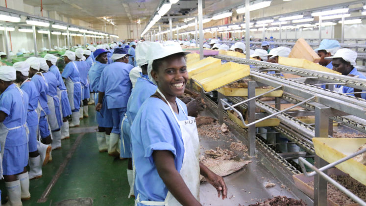 Employees of tourism industry and Soltuna to be laid off – Theislandsun