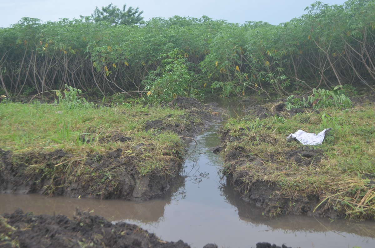 Food supplies under threat as new weather patterns sweep Solomon ...