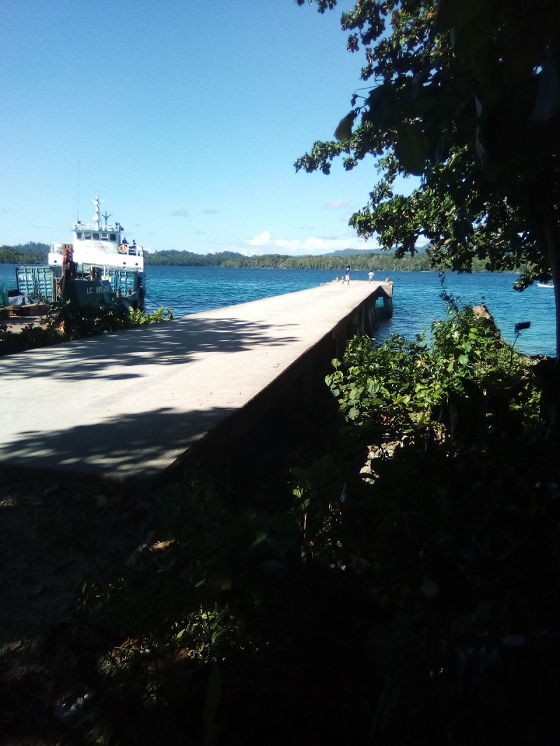 Taro needs govt support to turn it into tourist destination | Theislandsun