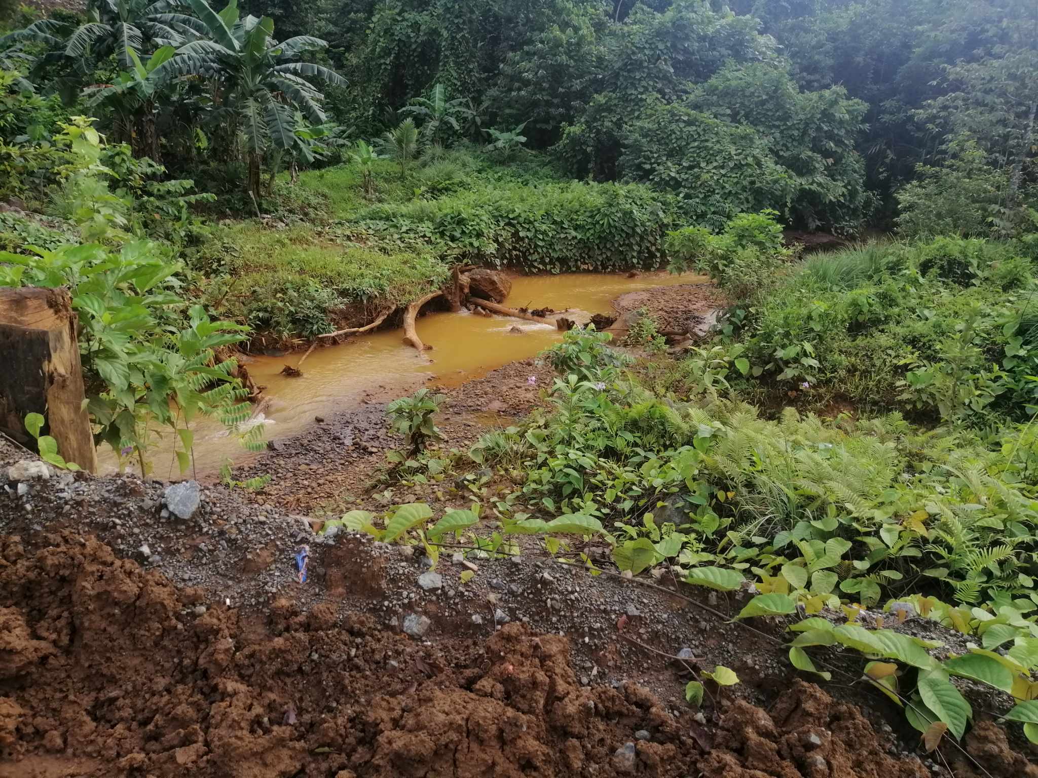 This is the stream that Mr Kokoi used to find prawn, eel and fish to ...