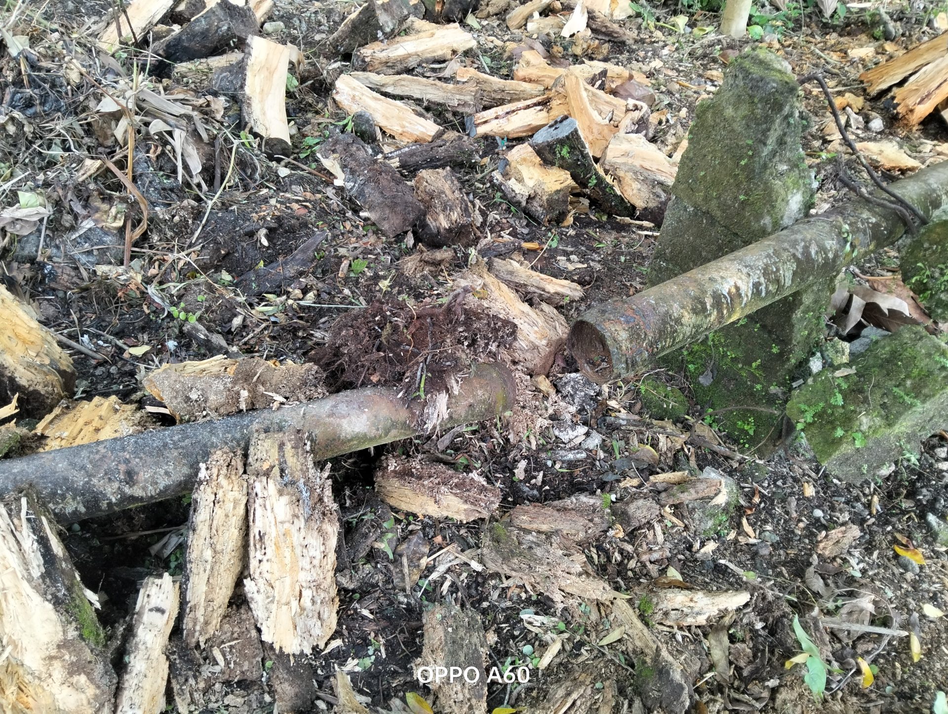 The struggle for clean water in Nou village, Temotu province | Theislandsun