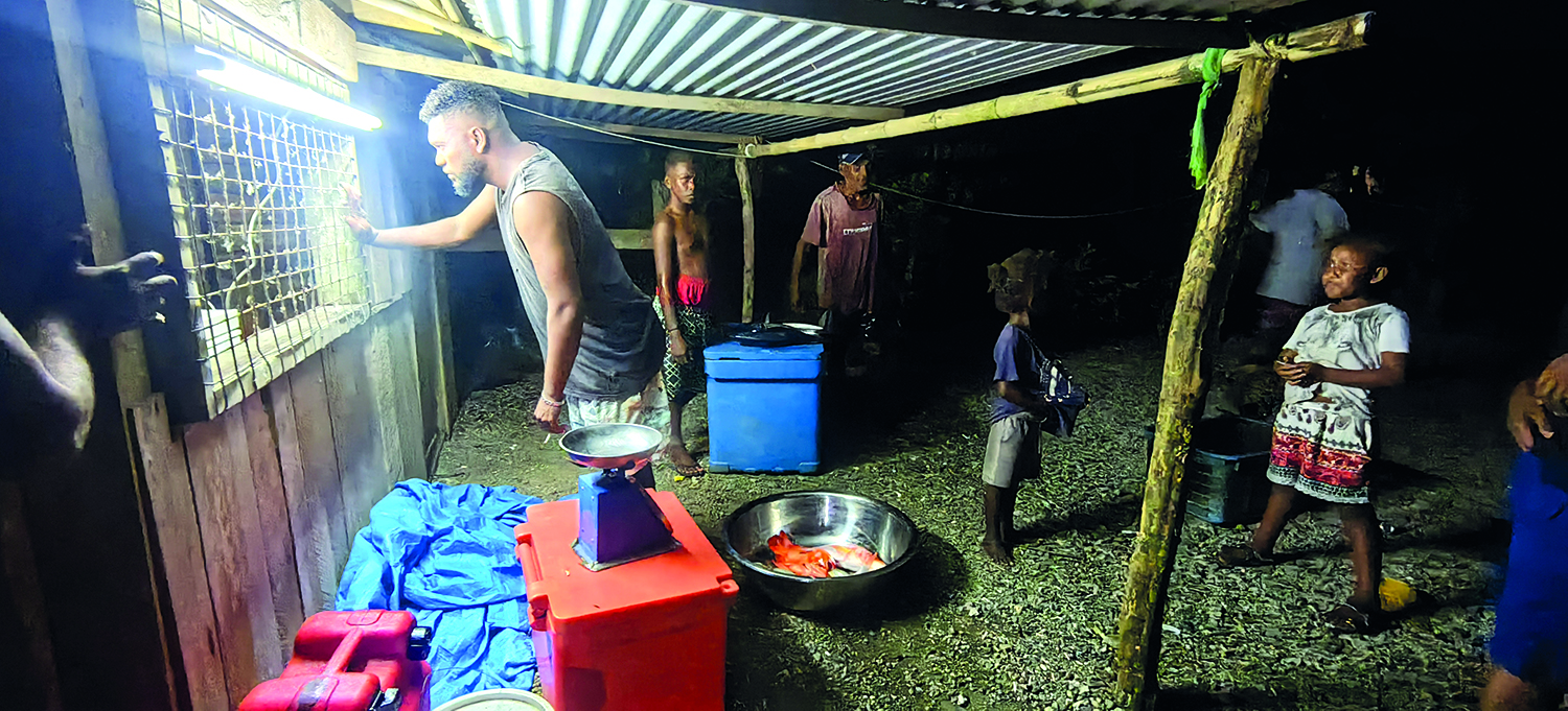 Rural Resilience: How Moffet Pade Built a Business Lifeline for Sepi ...