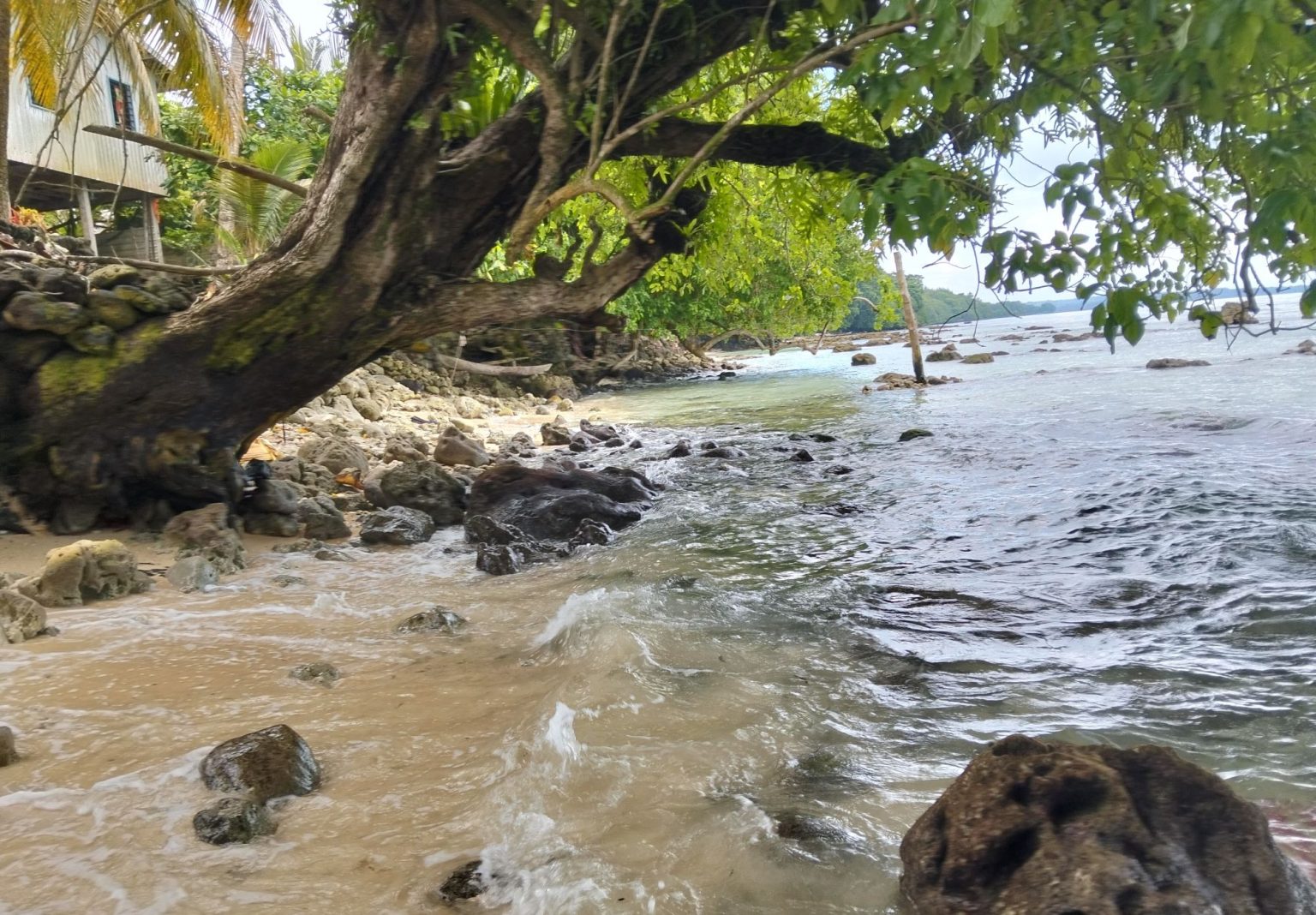 Poor sanitation; a disgrace for dignity | Theislandsun