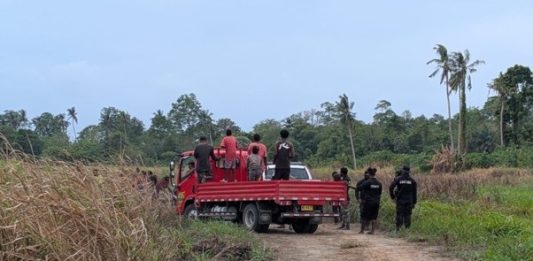 Villagers disturb work on major rice farm project in North Guadalcanal ...